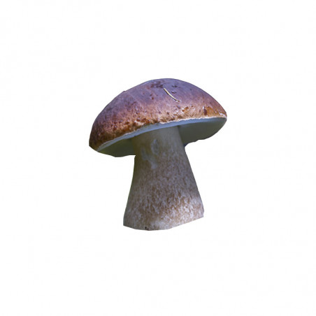 Classic Fine Foods | Cèpes