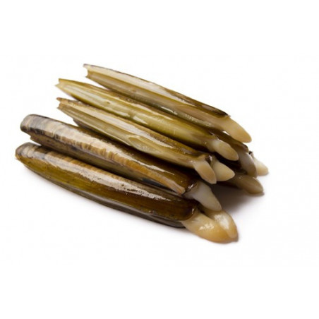 Razor Clams | Classic Fine Foods