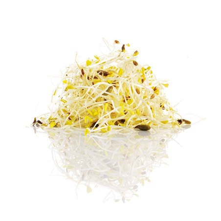 Classic Fine Foods | Fennel Sprouts