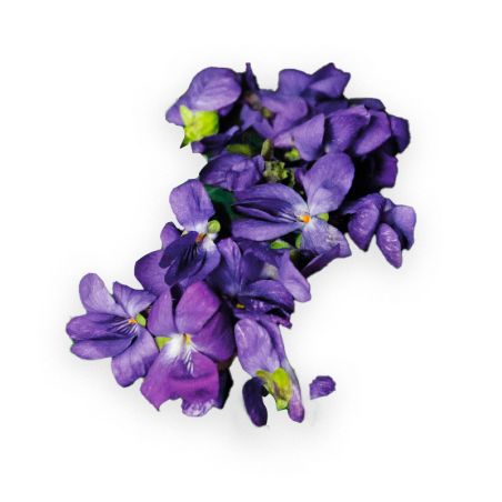 Violettes | Classic Fine Foods