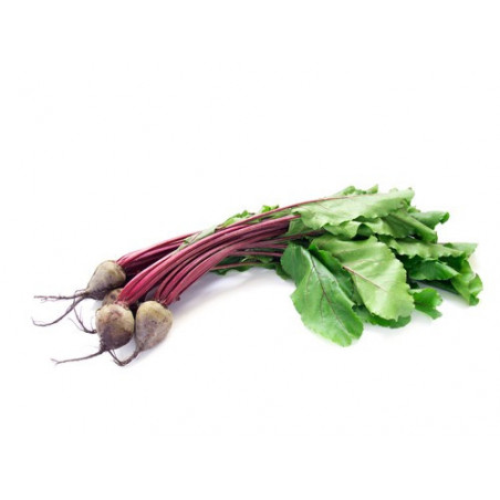 Classic Fine Foods | Baby Beetroot