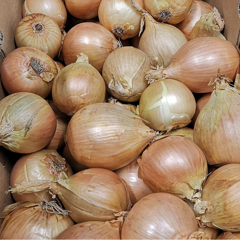 Classic Fine Foods | Oignon Jaune