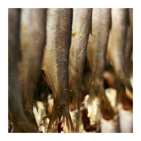 Herring Fillets Vacuum Pack | Classic Fine Foods