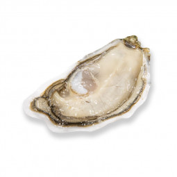 Shellfish | Classic Fine Foods